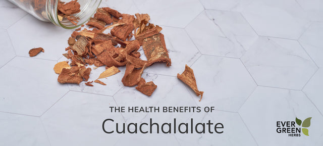 The Health Benefits of Cuachalalate - Evergreen Herbs Inc.