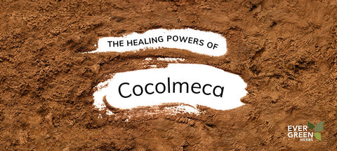 The Healing Powers of Cocolmeca - Evergreen Herbs Inc.