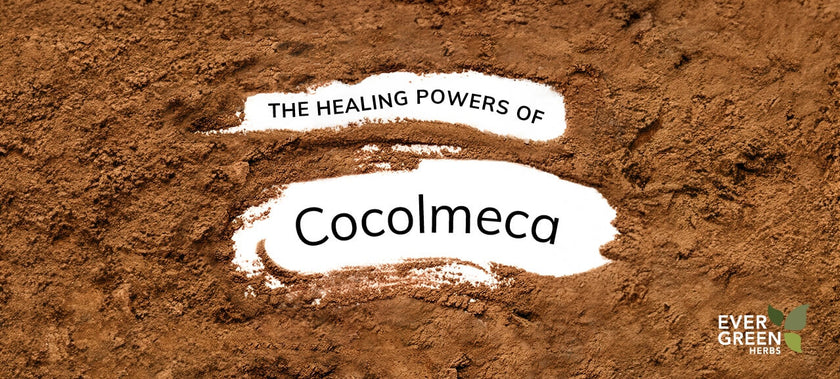 The Healing Powers of Cocolmeca - Evergreen Herbs Inc.