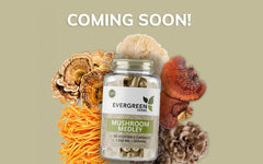 The Healing Powers of Cocolmeca - Evergreen Herbs Inc.