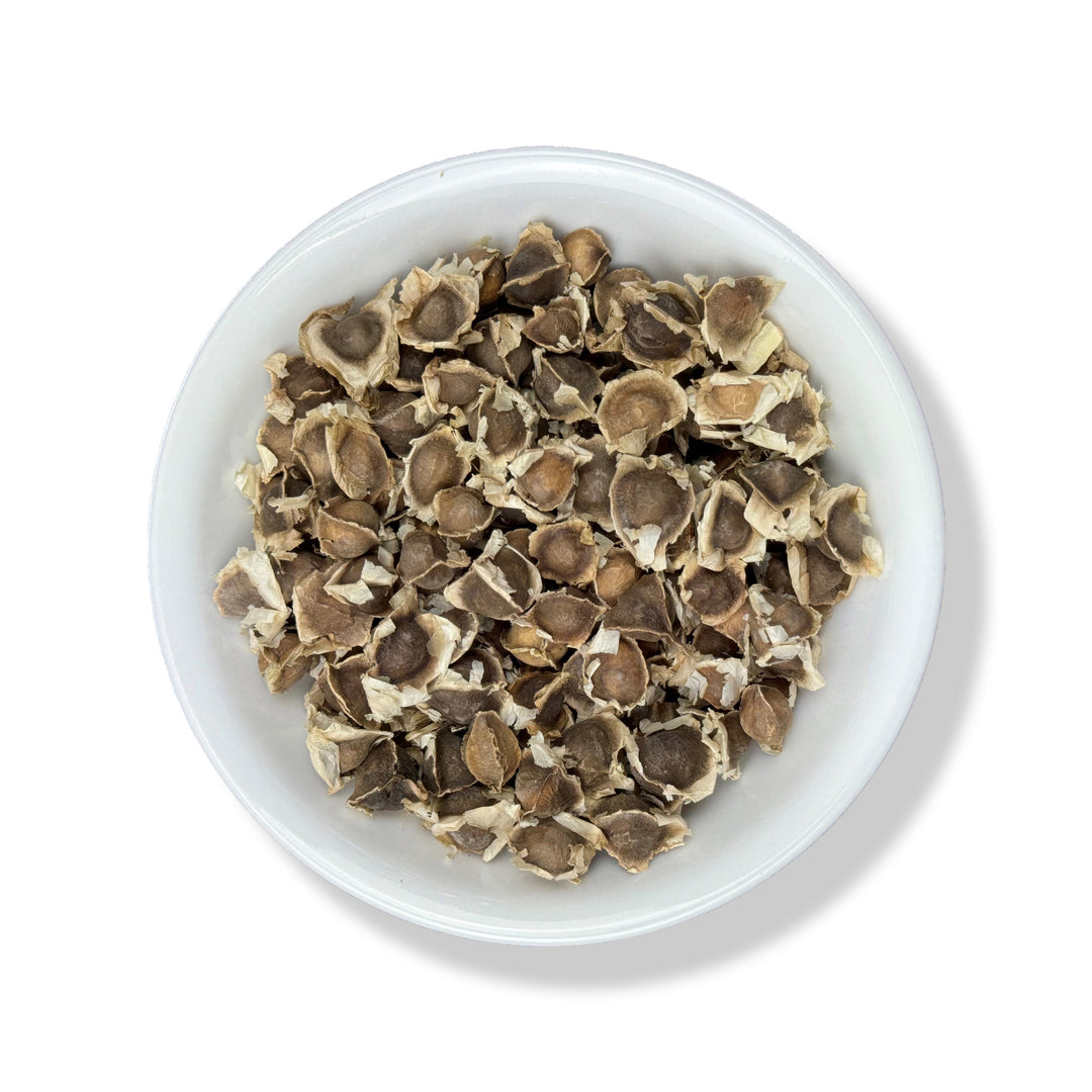Moringa Seeds - Evergreen Herbs Inc.