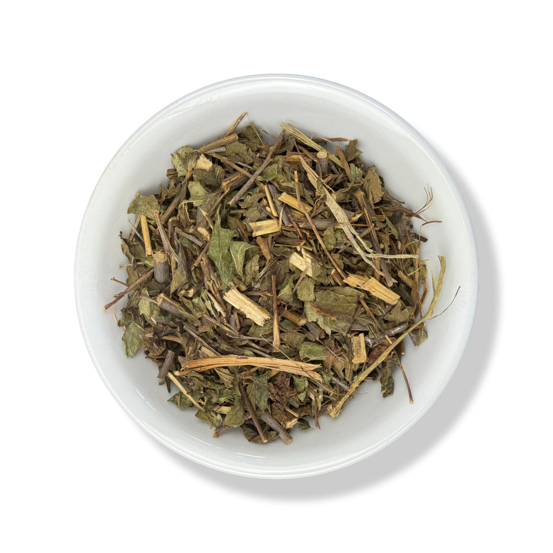 Prodigiosa Benefits - Wildcrafted Bulk Herbs | Evergreen Herbs ...