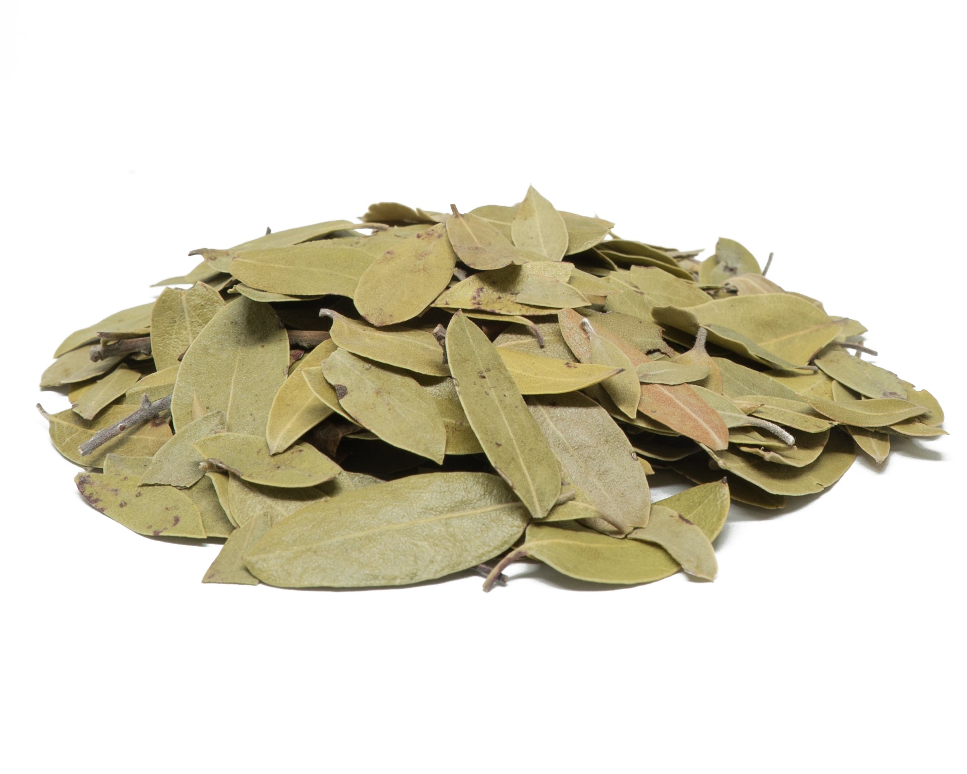 Mexican Bay Leaf